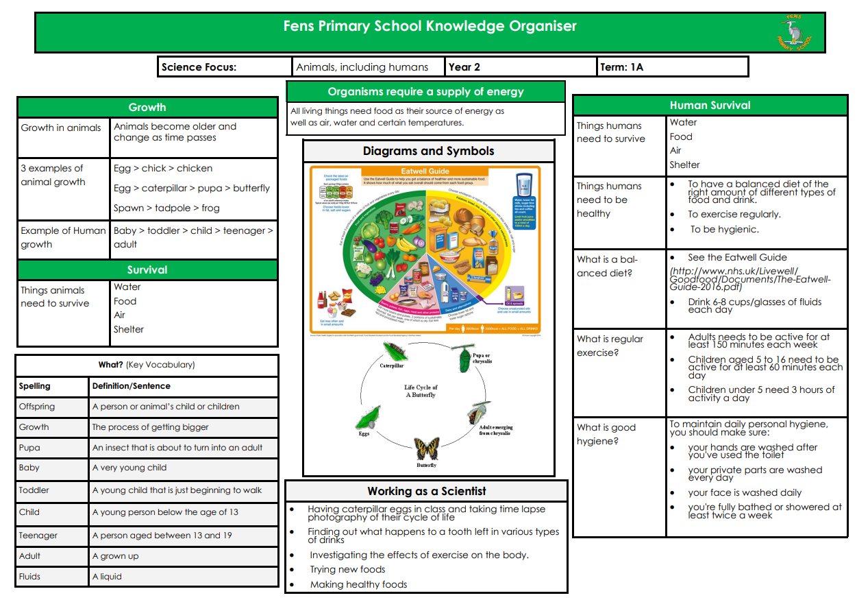 YEAR TWO - KNOWLEDGE ORGANISERS